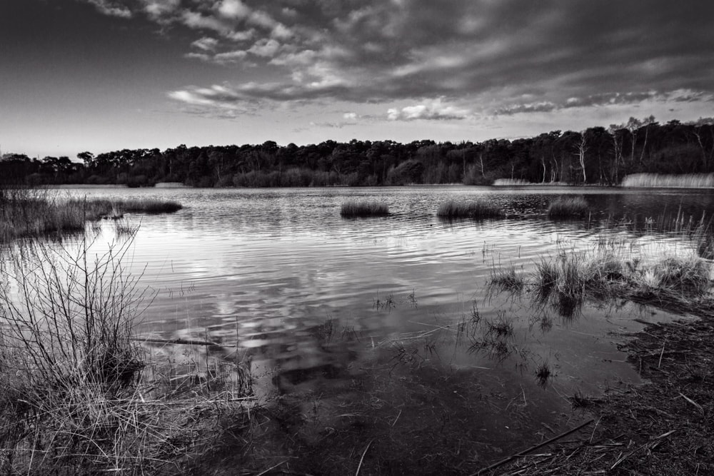 Sunset-Ockham-Common-Surrey
