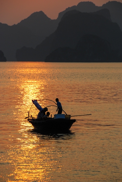 Beginner Photography Course